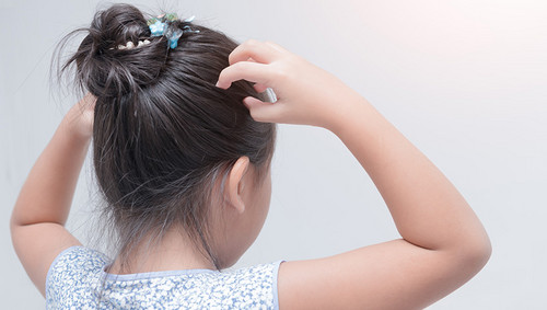 Le premier centre anti-poux de l’Essonne - Conseil départemental de l ...