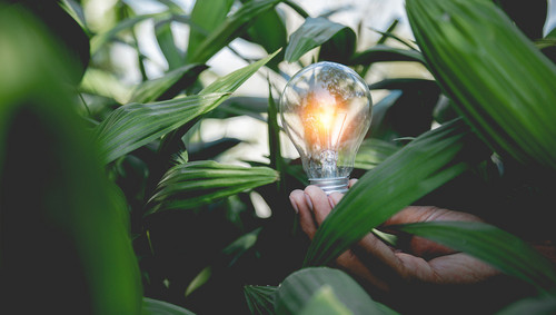 Les lauréats du prix Innovation durable 2020 sont… - Conseil ...