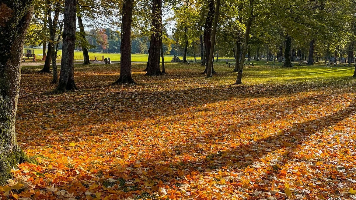 Durant l’automne, explorez l'Essonne ! - Conseil départemental de l'Essonne